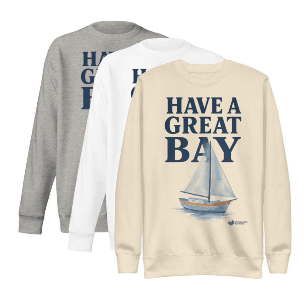 Have a Great Bay - Chesapeake Bay Trust
