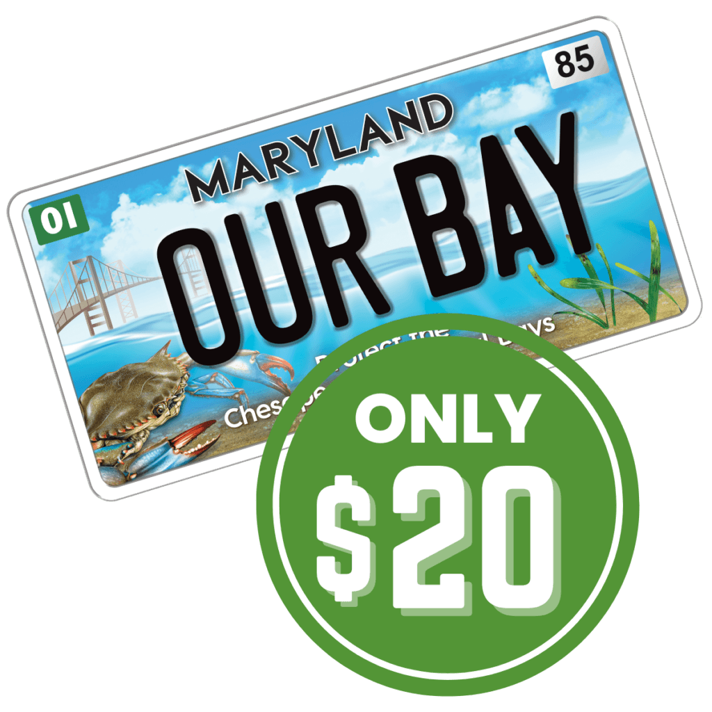 Bay Plate - Chesapeake Bay Trust