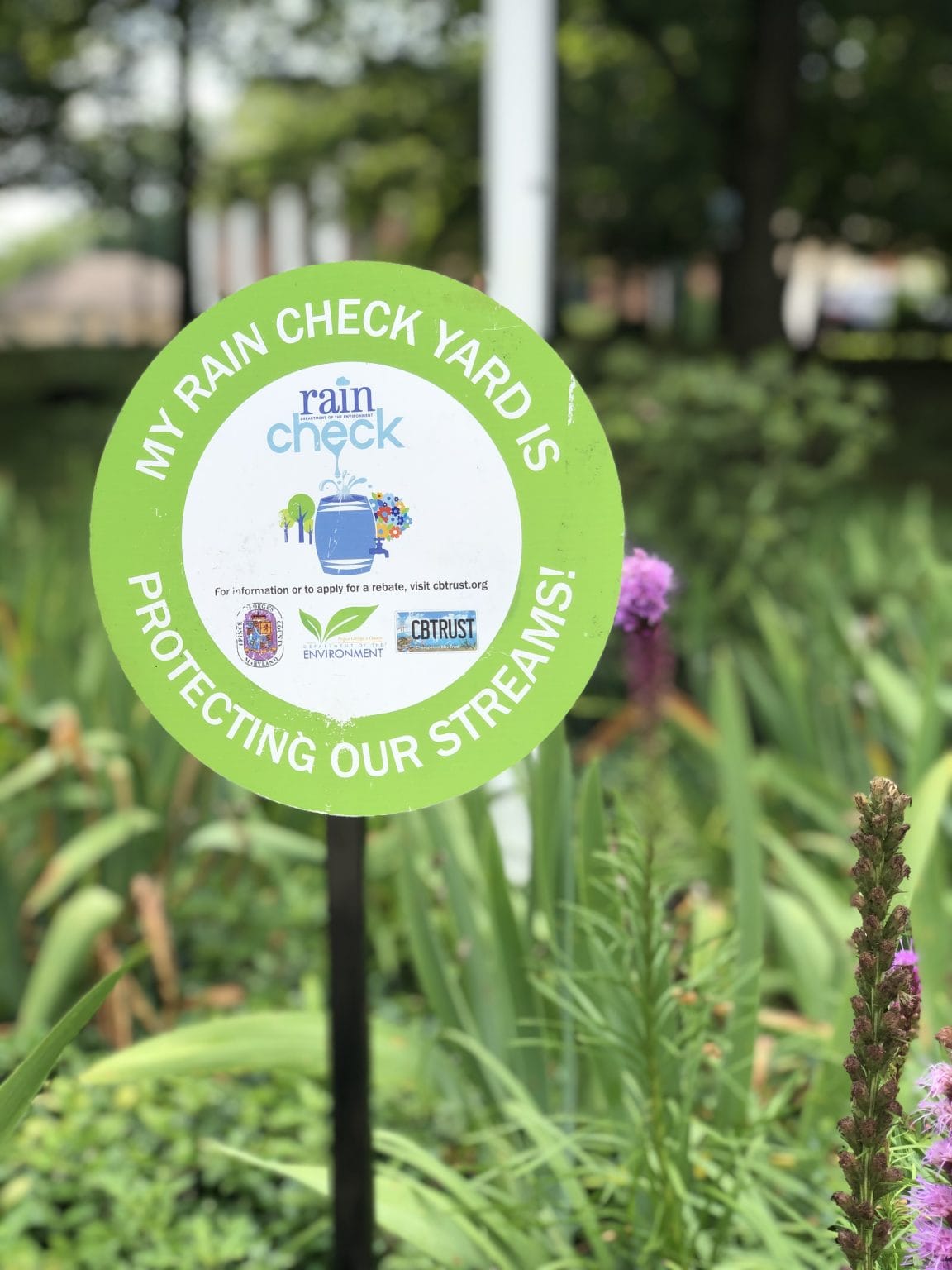 Prince George's County Rain Check Rebate: 2023 Year in Review ...