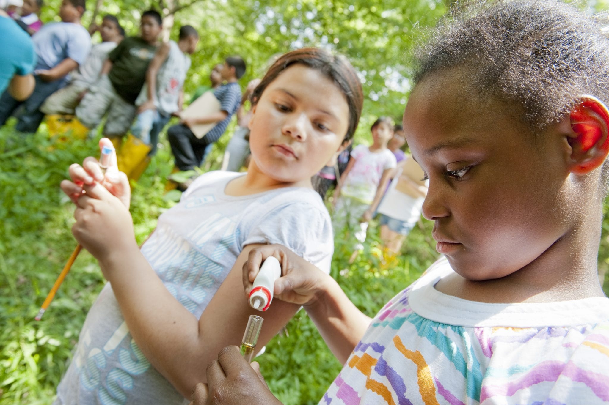 Employment Opportunities - Chesapeake Bay Trust