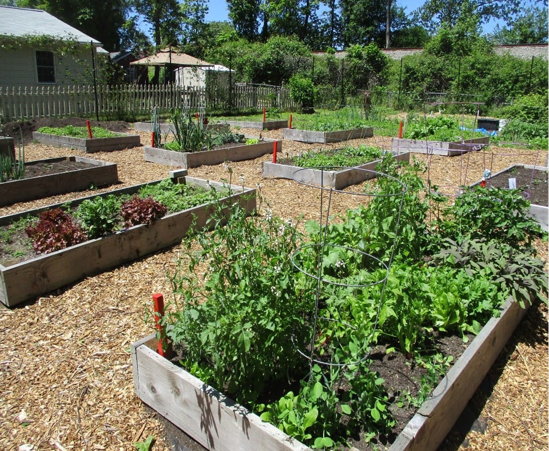 Prince George's County Community Gardens Mini Grant - Chesapeake Bay Trust