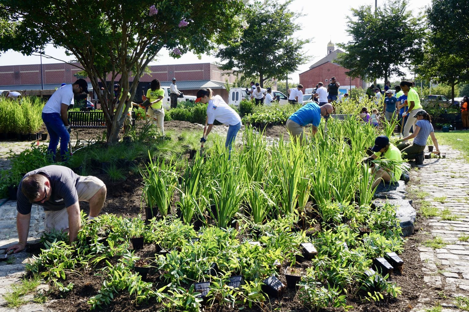 Employment Opportunities - Chesapeake Bay Trust