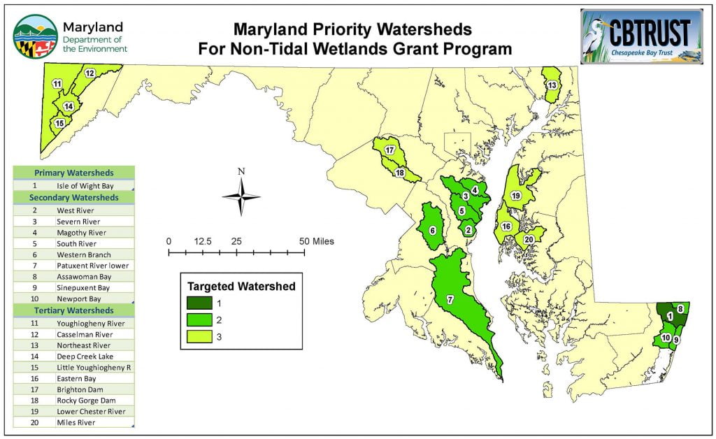Non-Tidal Wetlands - Chesapeake Bay Trust