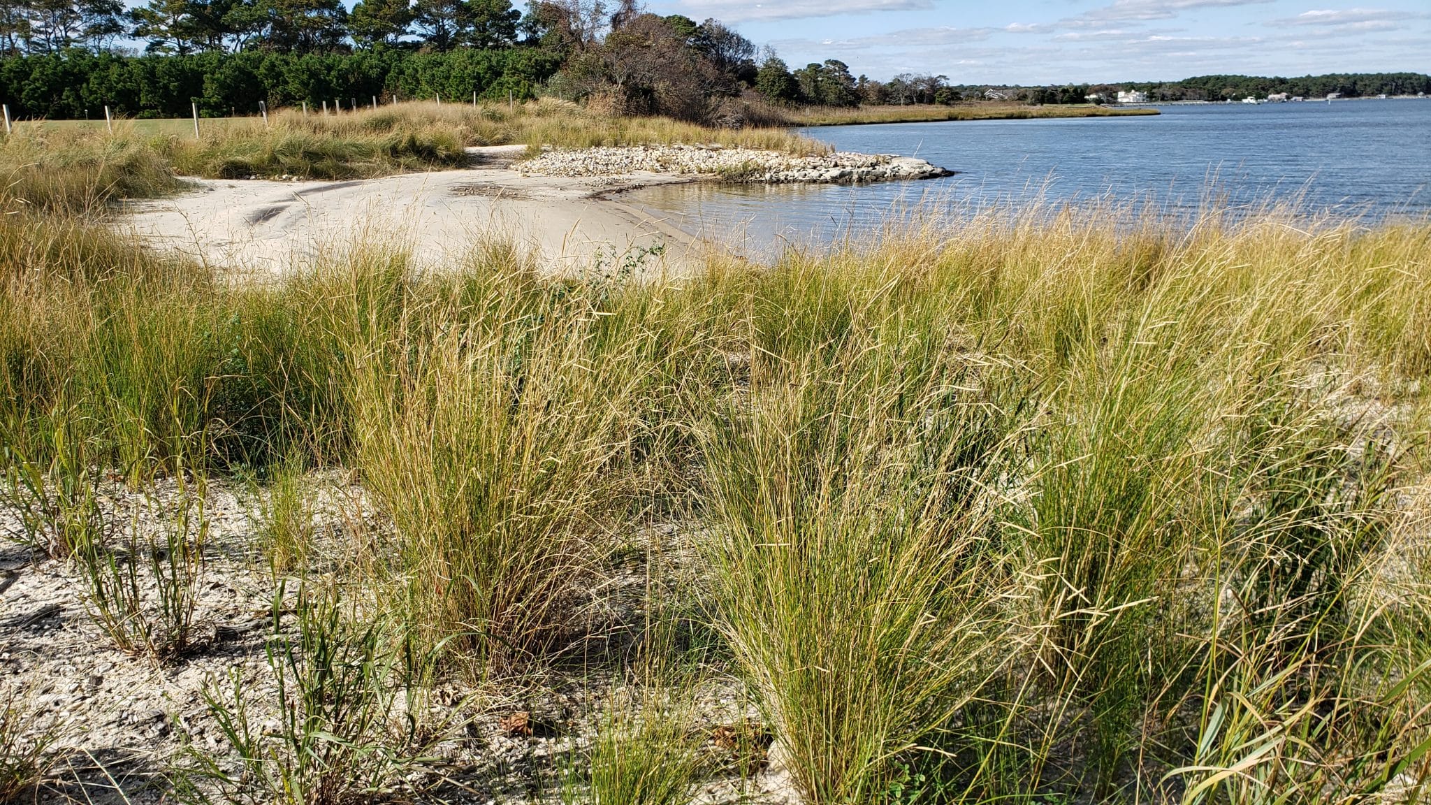 Employment Opportunities - Chesapeake Bay Trust